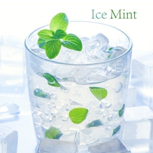 Hangsen Ice Mint E Liquid - 5 x 10ml E Liquids for £9.95 Free Delivery